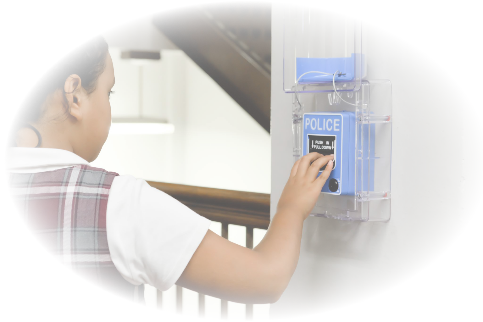BluePoint Alert Solutions System Installation Chicago